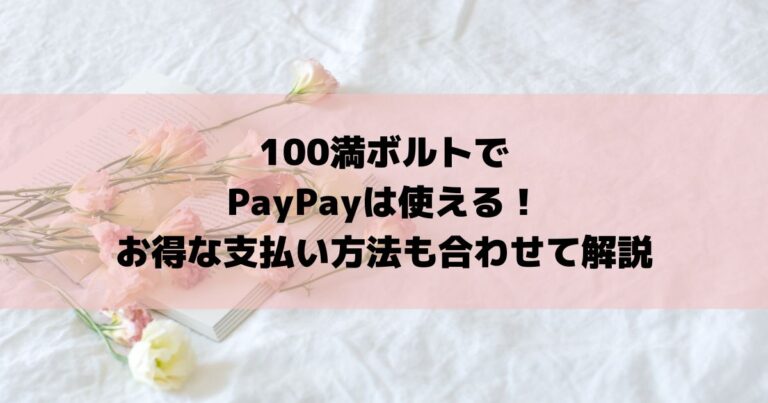 オカモトセルフでPayPayは使える！お得な支払い方法も合わせて解説 - MoneyHub