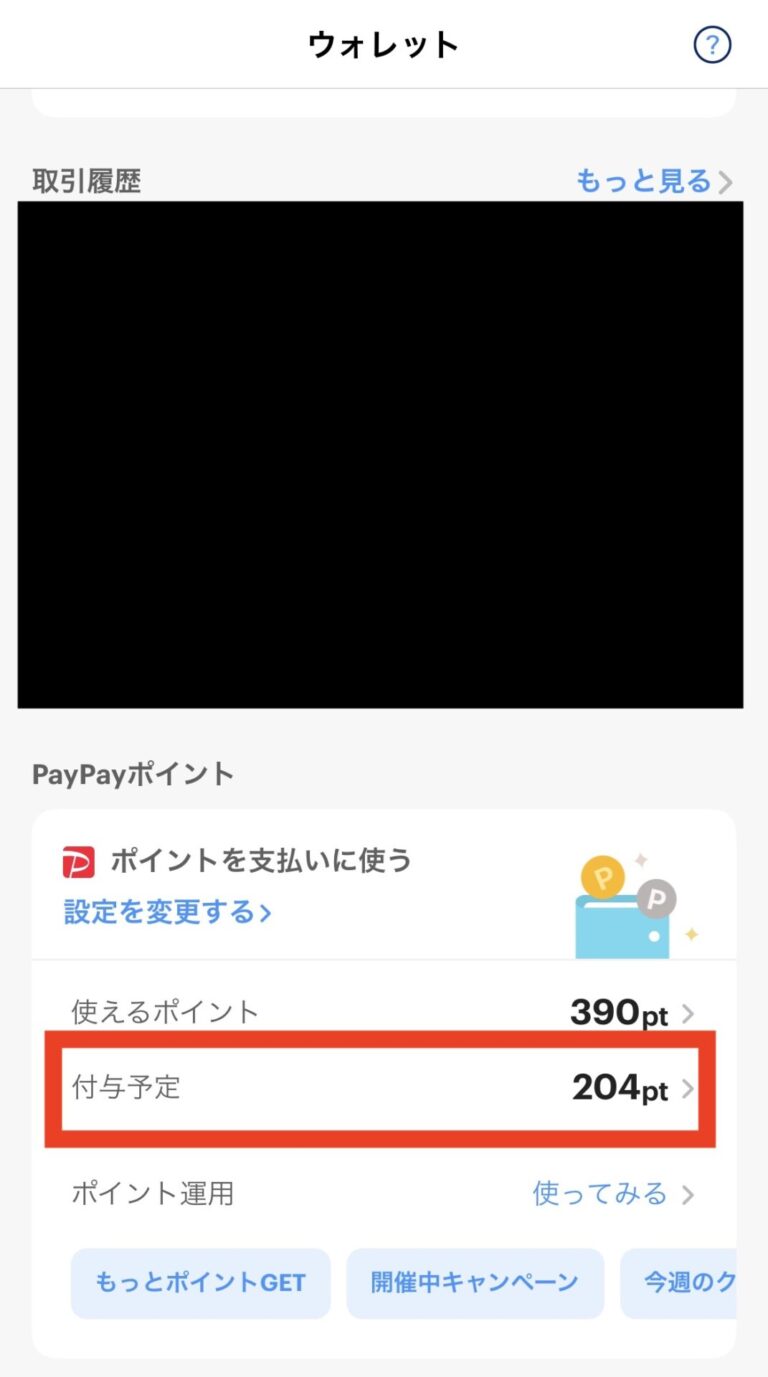 PayPayポイントに有効期限はない！ポイント付与のタイミングの確認方法も解説 - MoneyHub