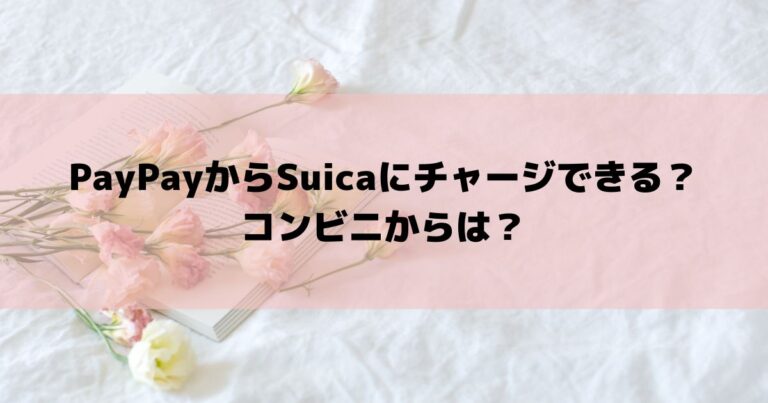 PayPayカードで支払いが遅れたらどうなる？どこに電話すればいい？振込先は？ - MoneyHub